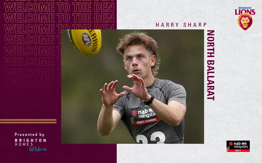 Harry Sharp is a Lion