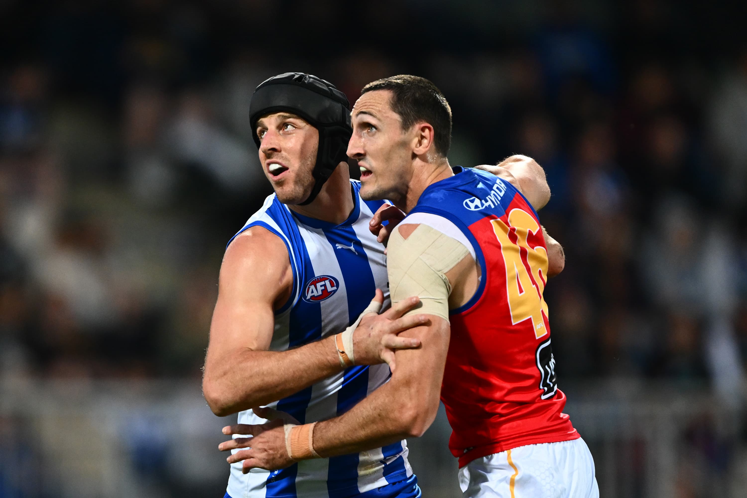 Match Report: Lions held to rare draw