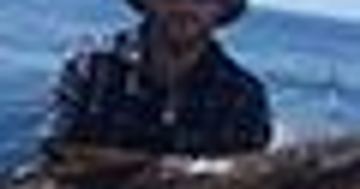 Part Two: Keeping up with da boiz