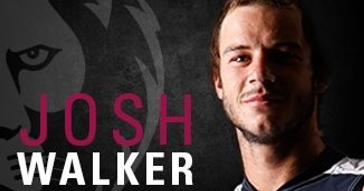 Josh Walker Highlights