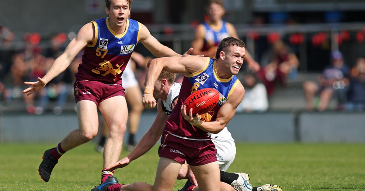 Lions Fall to Sharks in Double Chance Showdown