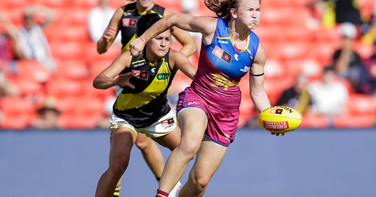 Shannon Campbell: The Brick Wall